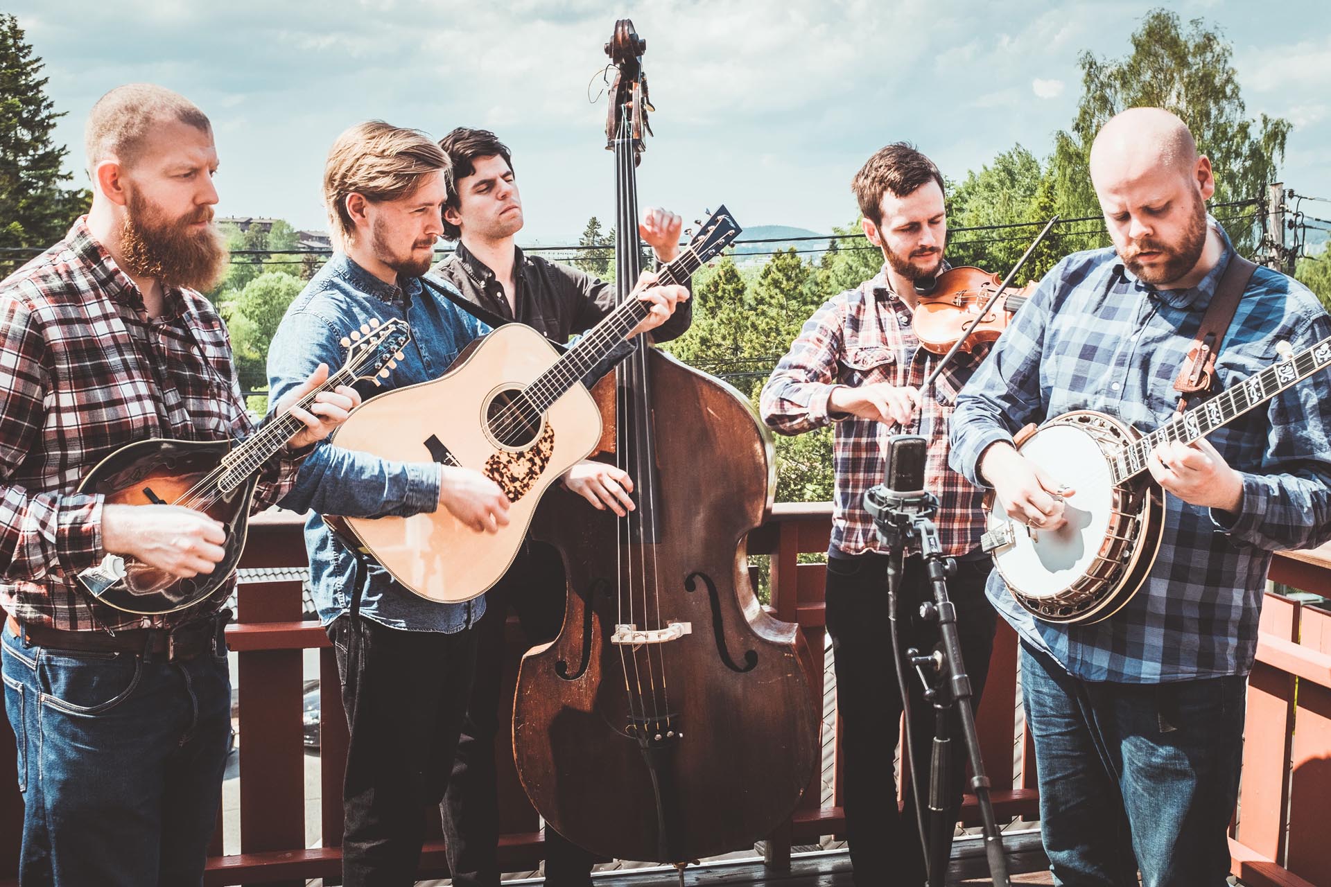 Blue Tram | Autentisk bluegrass band
